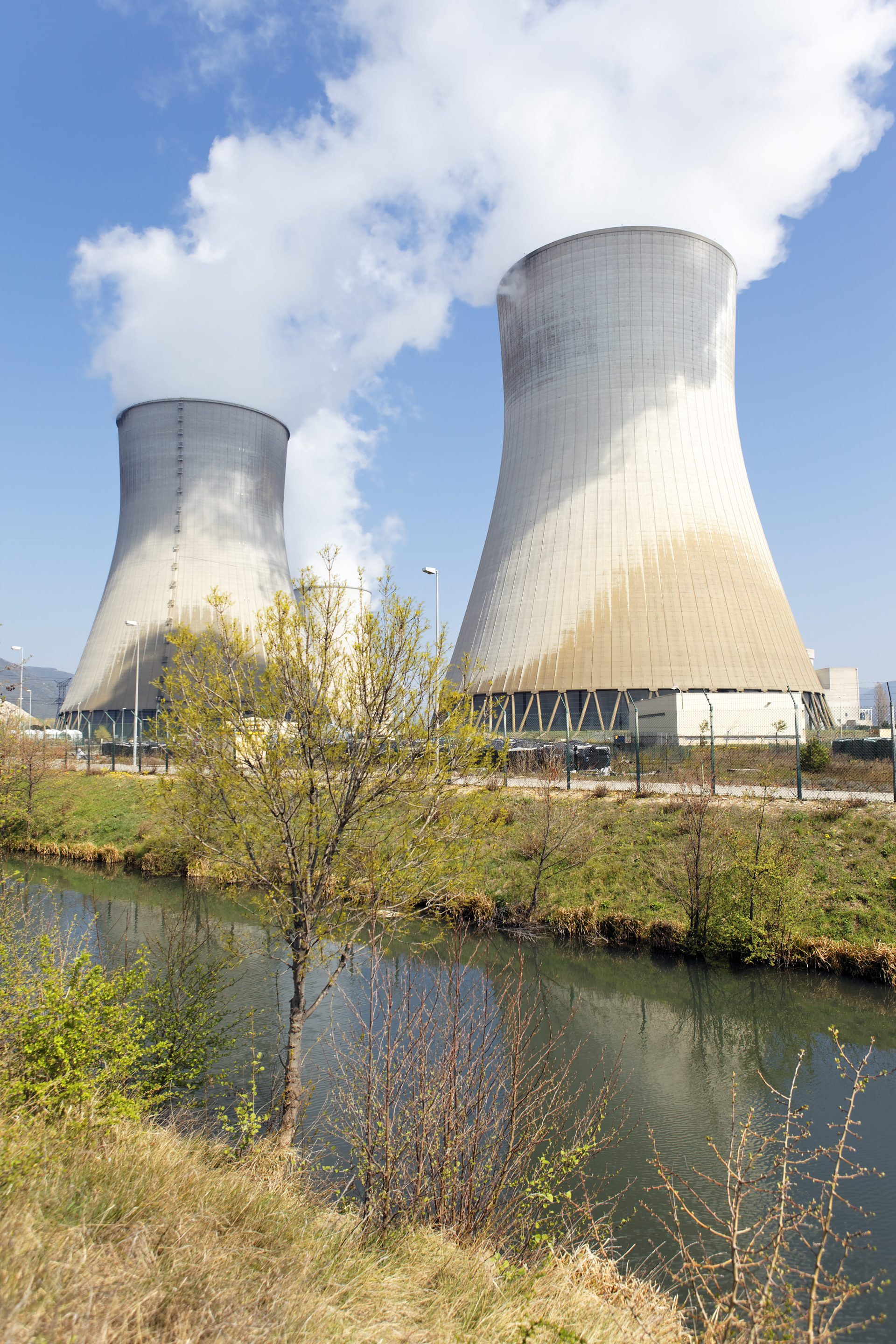 Thermal Power Plants Miss Biomass Targets Due to Supply Issues ...
