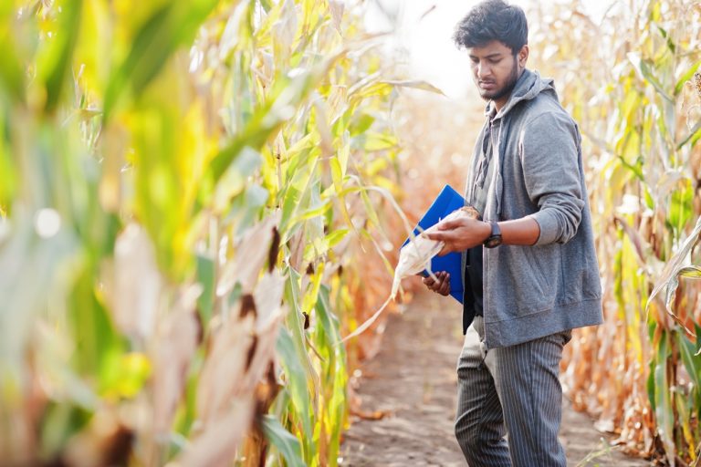 India Must Reform Fertiliser Use to Reduce Global Supply Risks ...